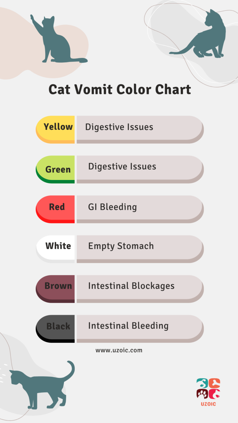 Cat Vomit Color Chart: What Each Color Means - uzoic Cat Vomit Color Chart: What Each Color Means - uzoic